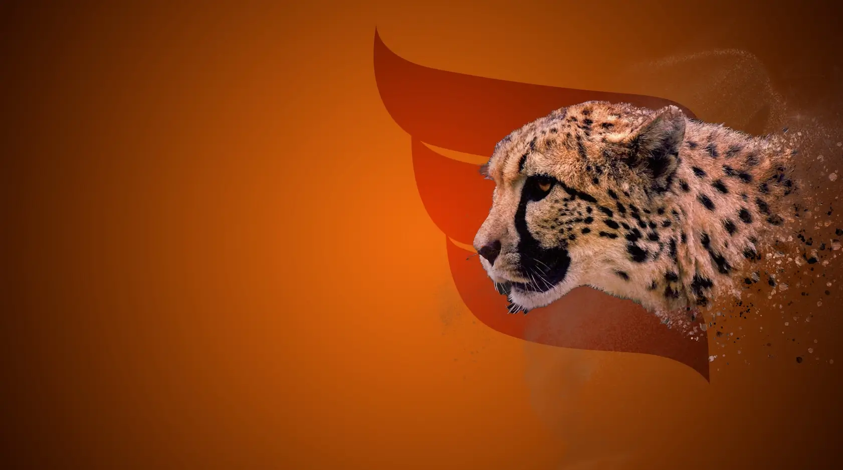 Cheetah Credit - Software per la Gestione Digitale del Credito | Niva